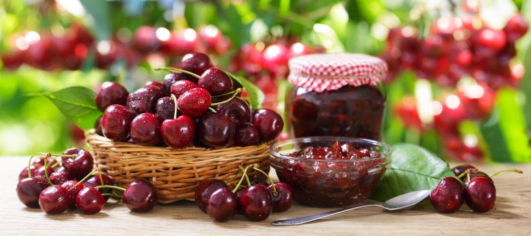 Top 5 Things to Do to Your Cherry Trees to Get Them Ready for Spring 🍒🌸 ...