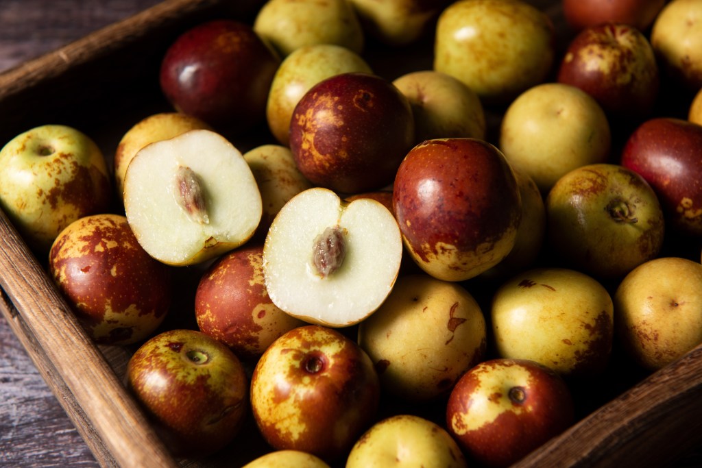 Growing Jujube Trees in Your Backyard: A Complete Guide 🌳🍎 - Ty Ty ...