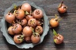 How to Grow Medlar Trees in Your Backyard – A Complete Guide 🌳🍏 - Ty Ty ...