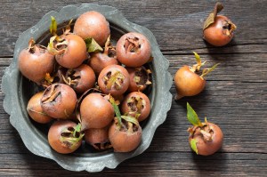 How to Grow Medlar Trees in Your Backyard – A Complete Guide 🌳🍏 - Ty Ty ...