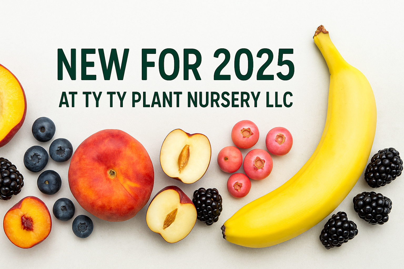 New Fruit Trees & Berry Plants for 2025 | Ty Ty Plant Nursery