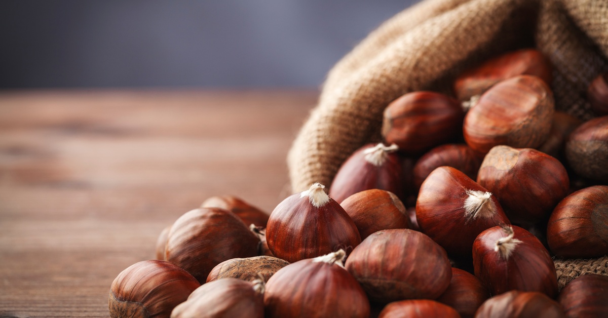 A Guide to Storing and Curing Chestnuts After Harvest