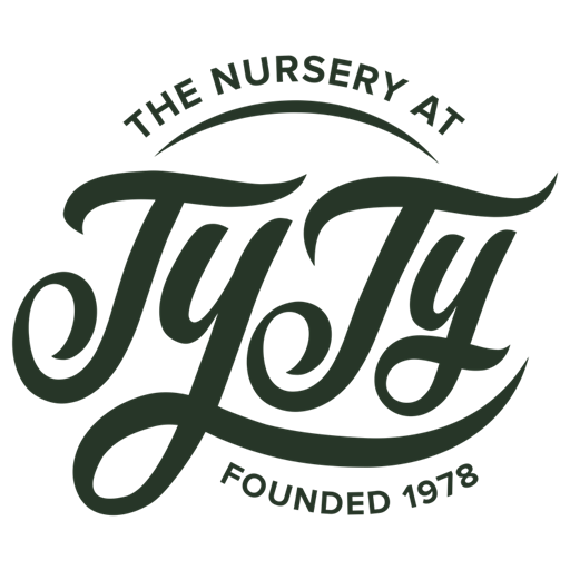 Ty Ty Nursery Blog FAVICON - Ty Ty Plant Nursery's Blog